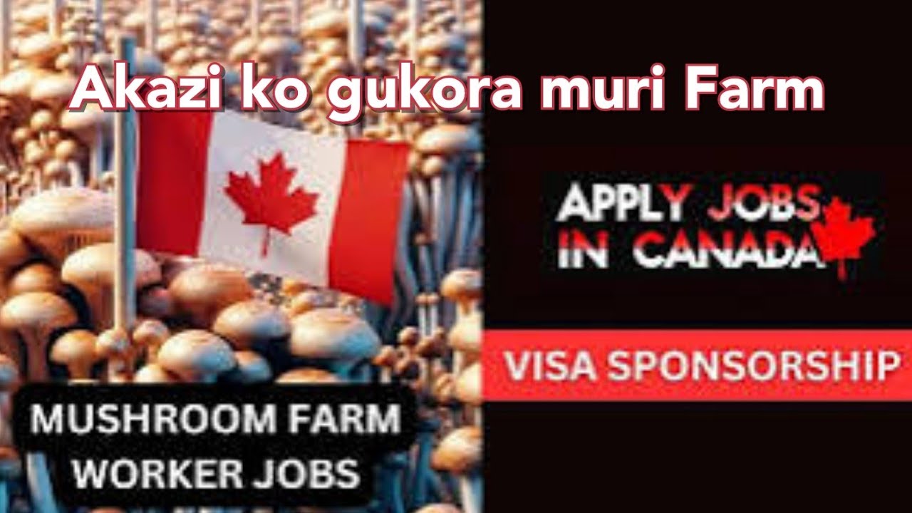 Canada 🇨🇦: Akazi ko gukora muri Farm...No Experience, No Degree. ( Visa ...