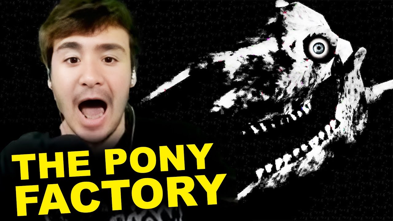 THE PONY FACTORY - YouTube