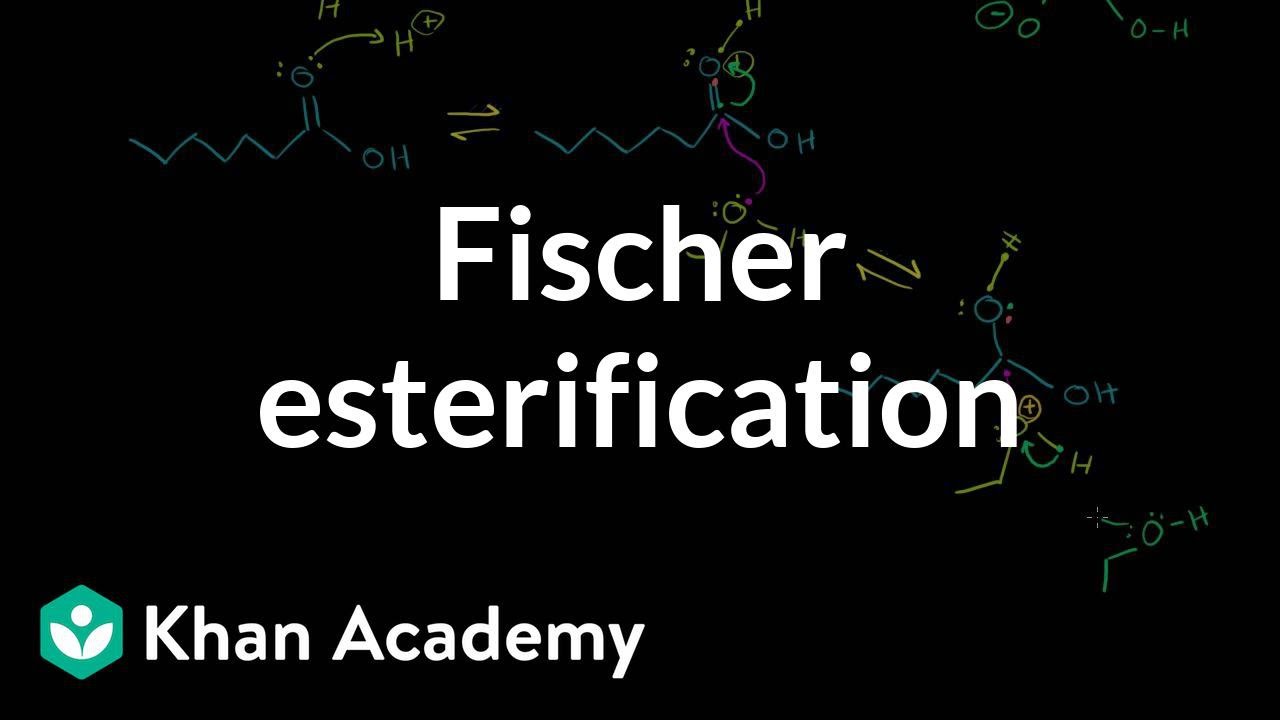 Fischer esterification | Carboxylic acids and derivatives | Organic chemistry | Khan Academy ...