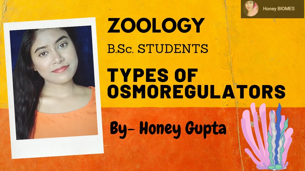 Osmoregulation || Types of Osmoregulators || Osomoregulators and ...
