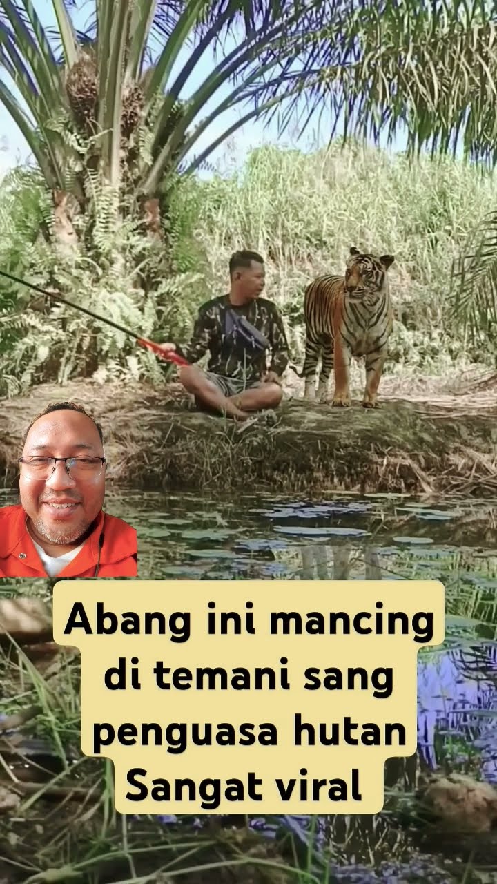 penguasa sawit dan penguasa hutan lagi mancing #shorts #viral #short # ...