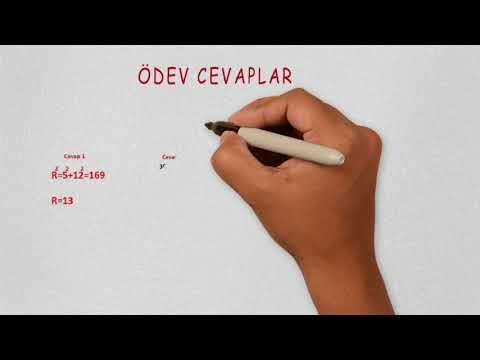 Vektörlerin toplanmasında özel durumlar - Ödev çözümleri