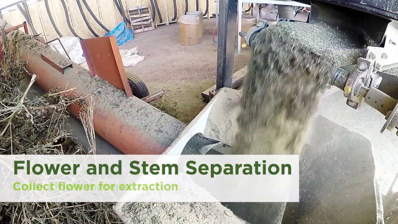 Flower and Stem Separation - YouTube