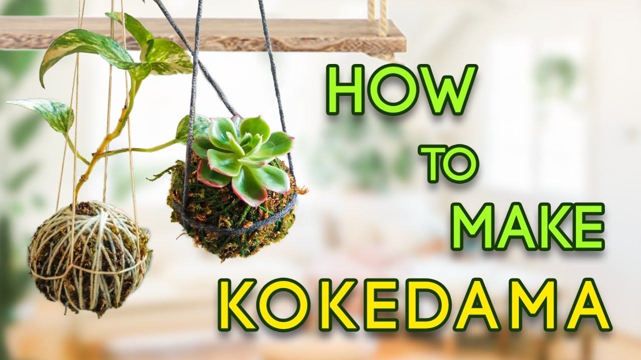 kOKEDAMA how to make it at HOME - YouTube