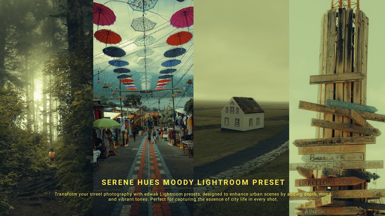 MASTER the visual story of colour grading through this Lightroom ...