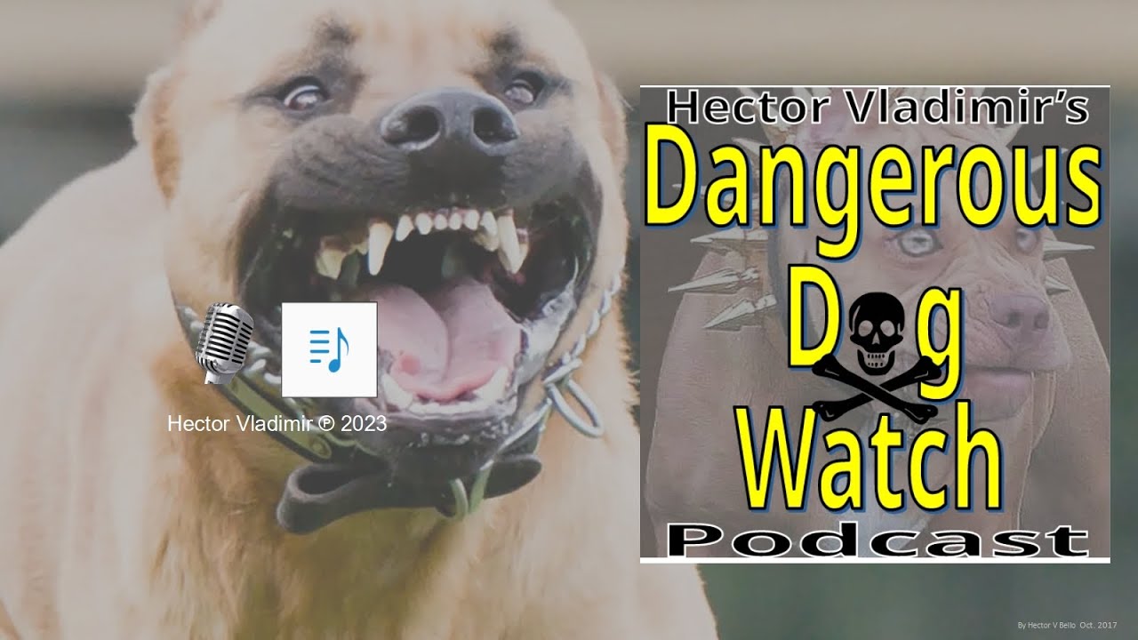 The tragedy of Logan Braatz - YouTube