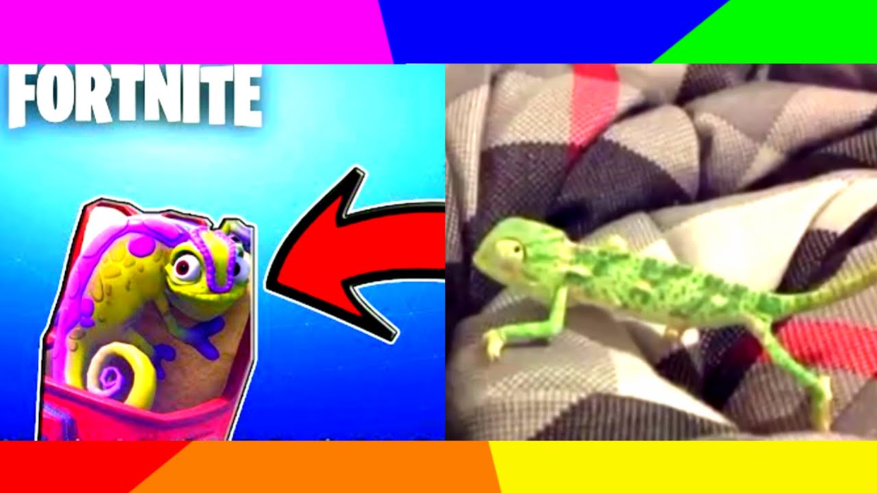 MY CHAMELEON CAMO IS IN FORTNITE ????!!!! - YouTube