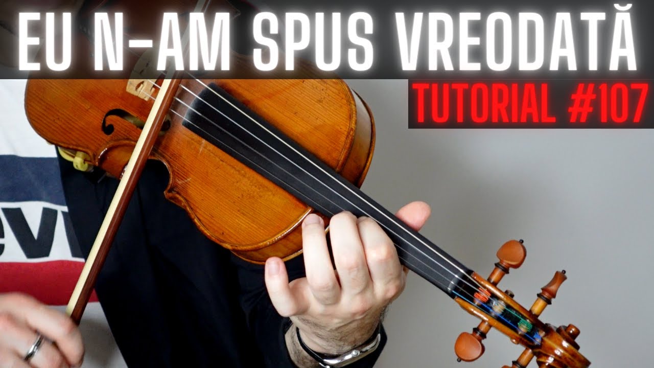TUTORIAL VIOARA #107 🎻 EU N-AM SPUS VREODATA by Luci Diamantul (rezumat ...