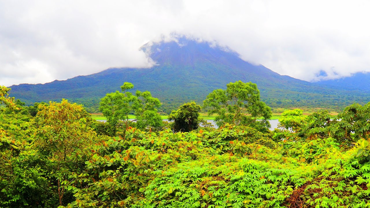 Peaceful Volcano Jungle Sounds and Nature Ambience to Calm Your Mind ...