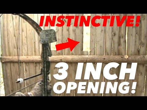 AMAZING ARCHERY ARROW THROUGH 3 INCH WOOD SLAT! DAN FITZGERALD LEGEND ...
