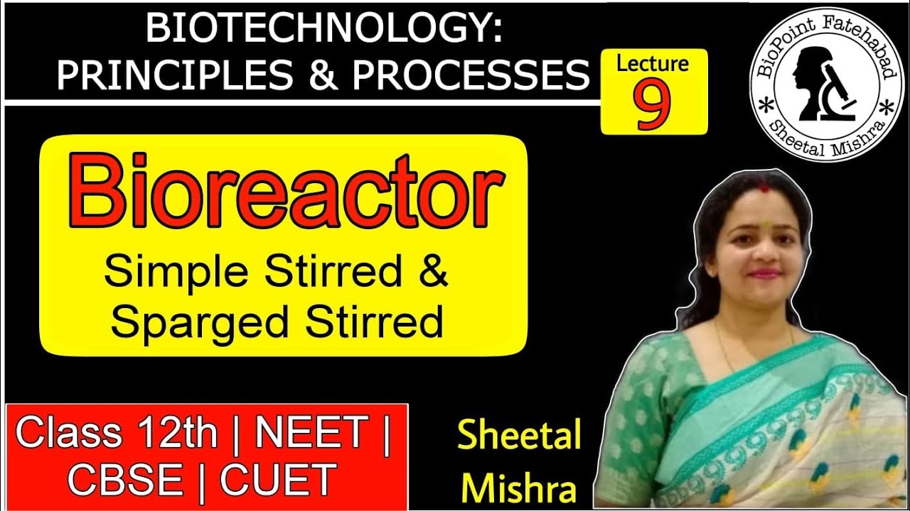 Bioreactor | Simple stirred and Sparged stirred tank Bioreactors ...