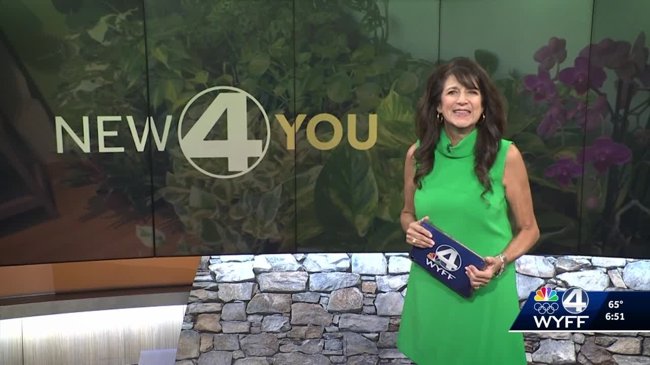 New 4 You: August 29, 2025 - YouTube