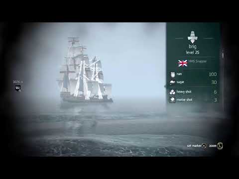 Assassin's Creed Black Flag