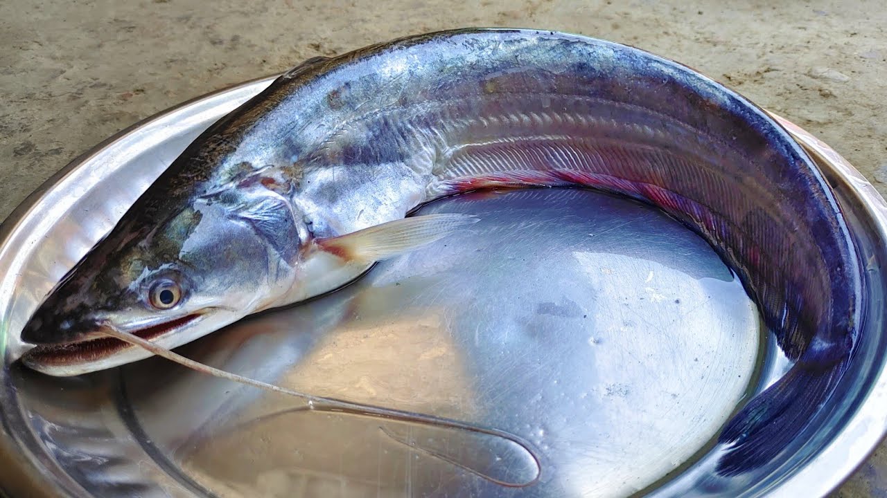 बरारी मछली को इस तरीके से बनाएंगे तो कहेंगे कि चिकन भी फेल है || Barari ...