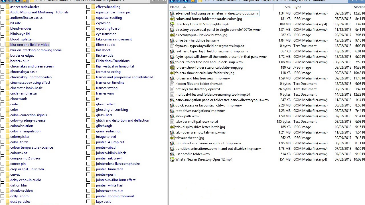 Directory Opus=check box mode - YouTube