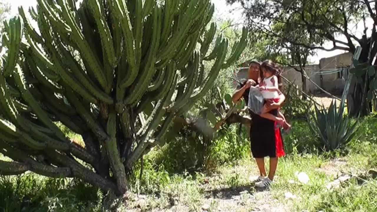Getting Garambullos with Iliana - YouTube