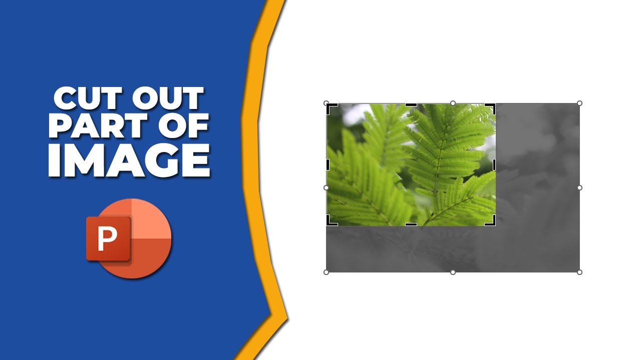How to cut out part of an image in PowerPoint - YouTube