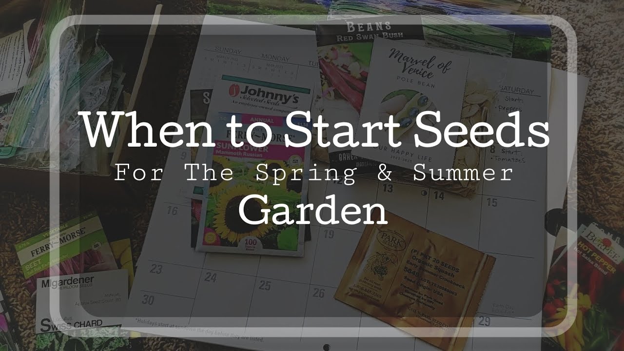 When to Start Seeds | For The Spring & Summer Garden - YouTube