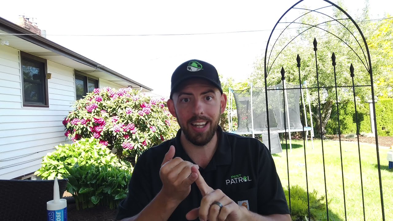 How to repair your crawlspace vent screens - Portland, Oregon - YouTube