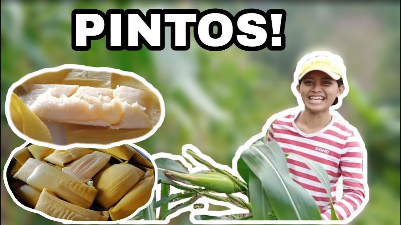How to make Pintos? Filipino traditional way of cooking "Young Corn ...