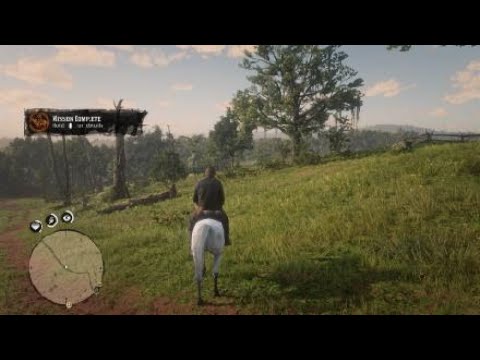 Red Dead Redemption 2 Delivering Letter to Penelope Braithwaite - YouTube
