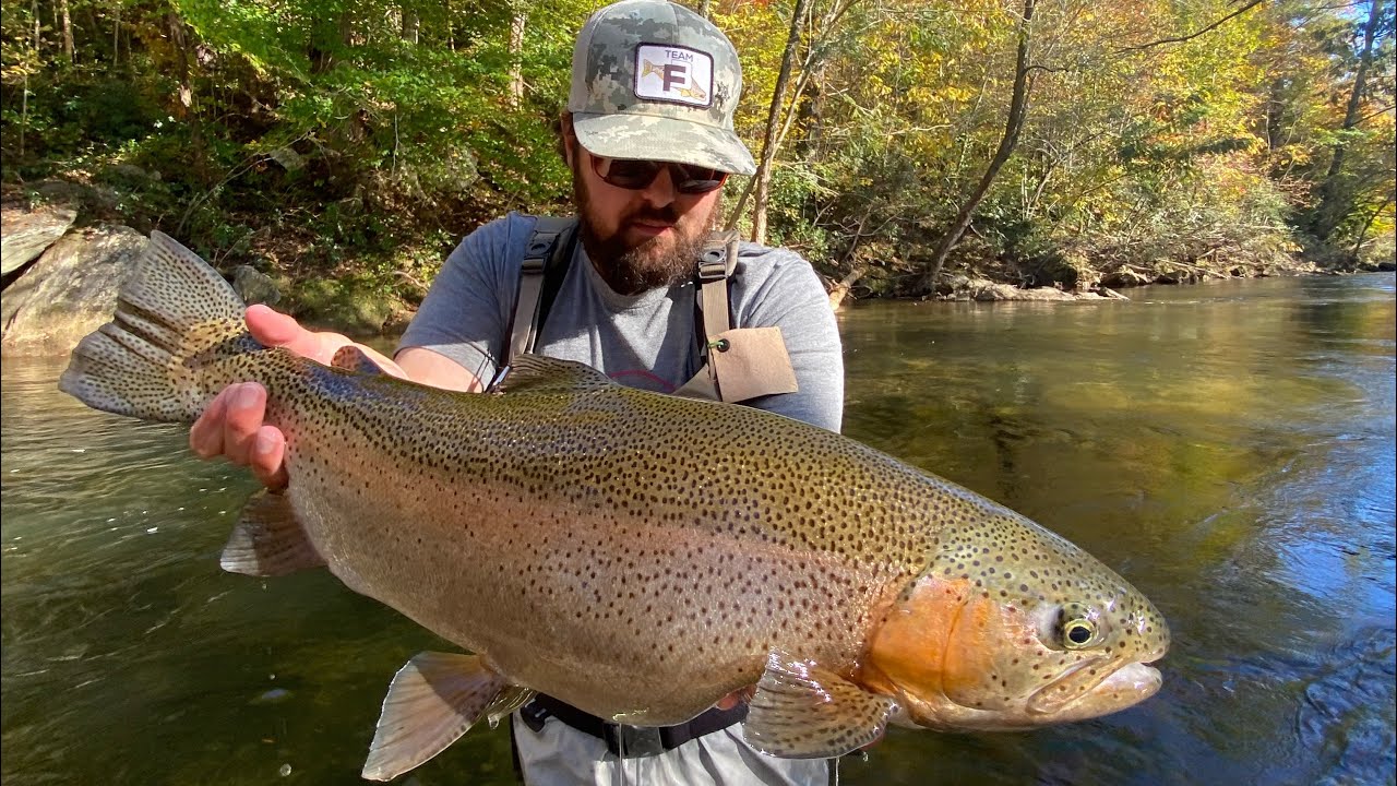Fly fishing at Nacoochee Bend - YouTube