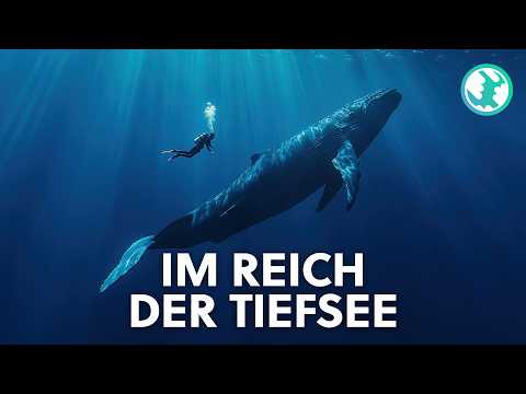 3+ Stunden Im Reich der Tiefe | Doku zum Einschlafen