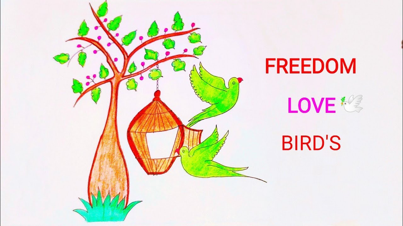 How to draw Freedom Love Bird's - YouTube