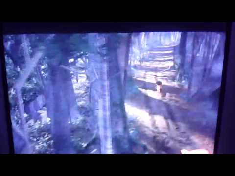 MADAGASCAR part 1