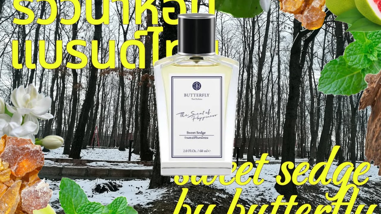 รีวิว #น้ำหอม ออยเบสแบรนด์ไทย Sweet sedge by Butterfly perfume และ ...
