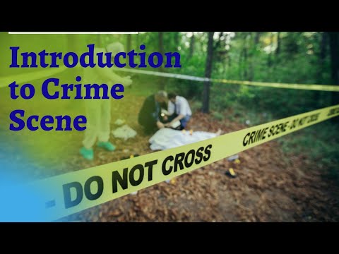 introduction to Crime scene. - YouTube