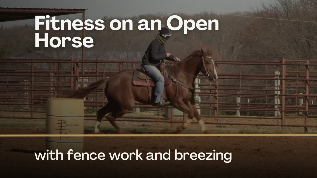 Fitness on an Open Barrel Horse with Joy Wargo - YouTube