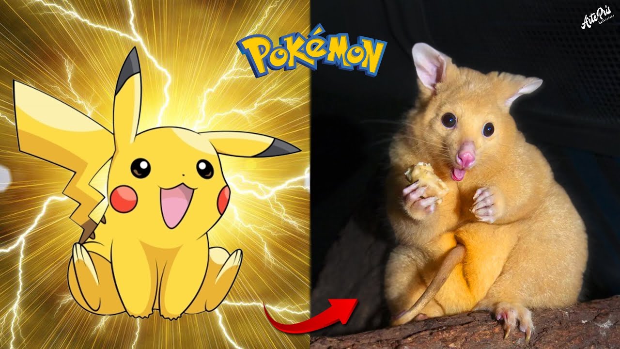 Pokémon Pikachu De La Vida Real