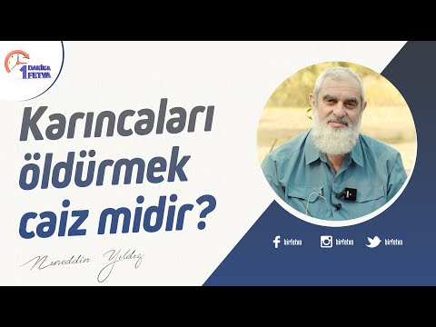 Karıncaları öldürmek caiz midir? | [Birfetva-Nureddin Yıldız] | 4K