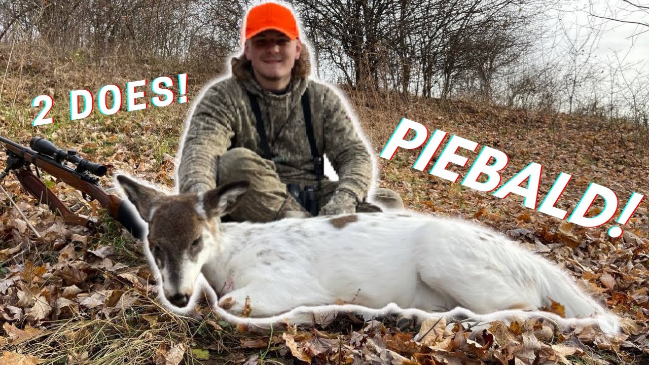 Piebald Doe!! 2 Does Down! (2 Kill shots) VA Deer Hunting. - YouTube
