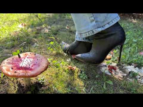 Crash mushrooms in the forest in high heels.
