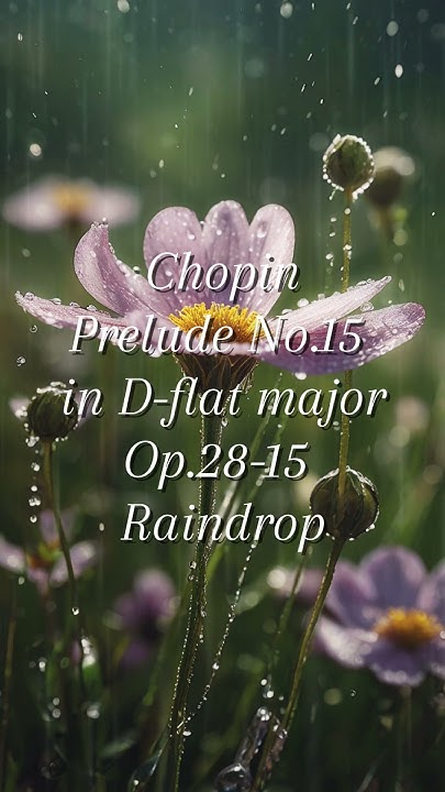 Soothing Rain & Chopin | Relaxing Classical Piano for Rainy Days 春の雨と ...