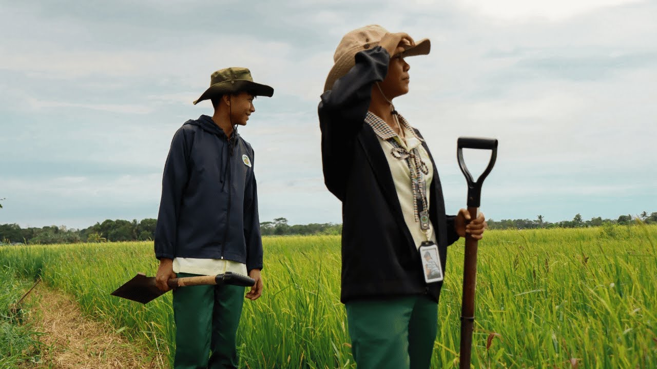 Inside a DepEd Farm School: Ramon Torres Malingin Farm School - YouTube