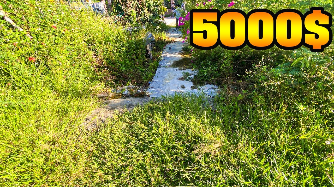 Bringing a Forgotten Home Back to Life The $5,000 Yard Rescue - YouTube