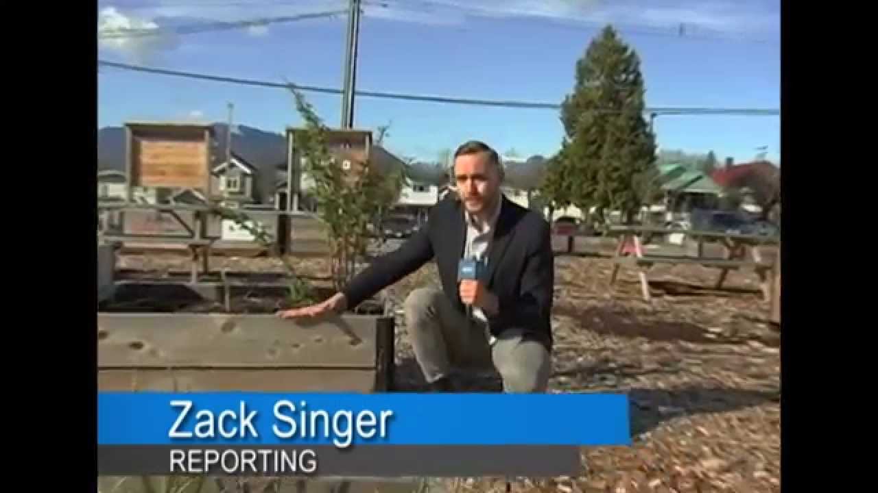Zack Singer - On Location Reporting - Demo Reel - YouTube