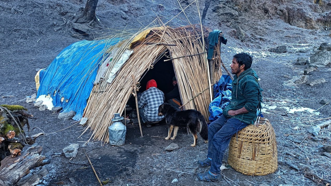 Real Nepali shepherd kitchen||organic food dhido and sisno cooking and ...