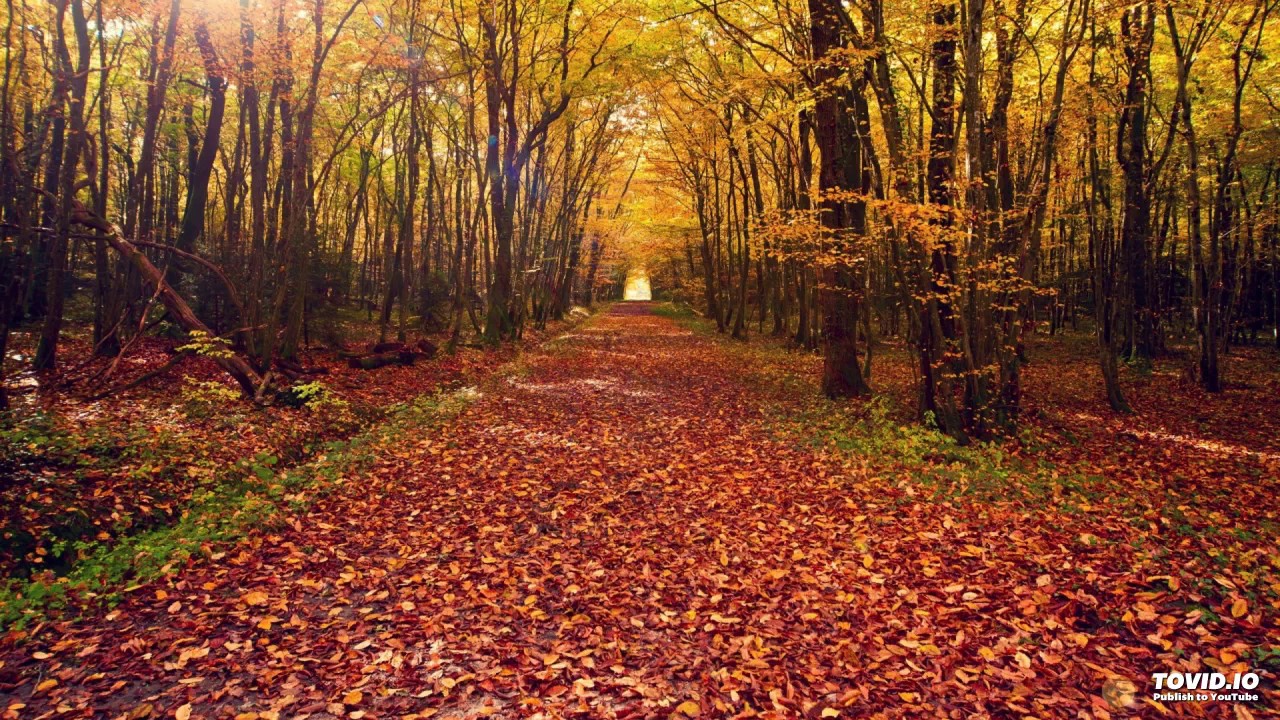 Gary Lamb - "Friendship" - YouTube