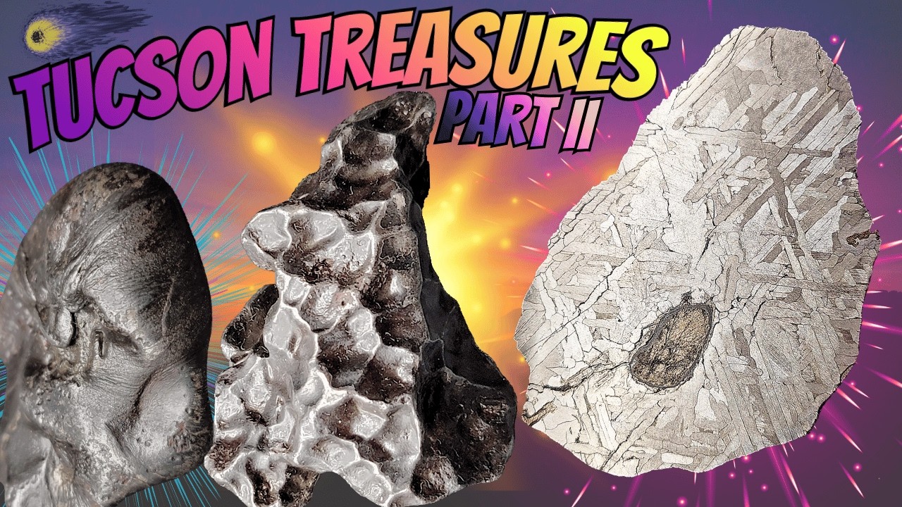 Tucson Treasures, Part II☄️Post 2026 Tucson Rock Gem & Mineral Show ...