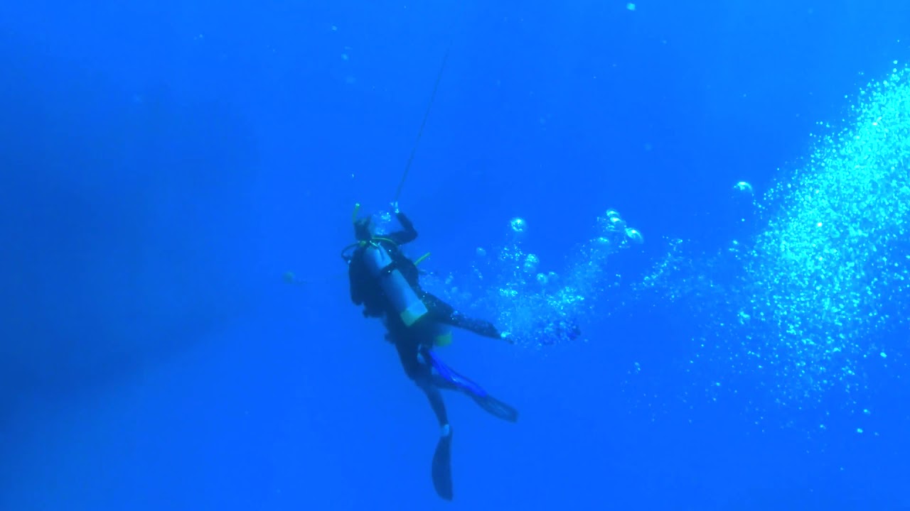 videoblocks underwater shot scuba divers deep in ocean with tether slow ...