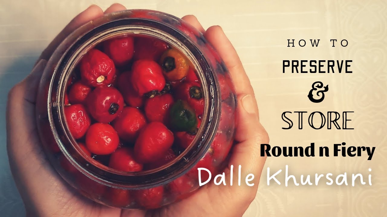 How to Preserve and Store Dalle Khursani | Chillie Pickle | Preserving ...