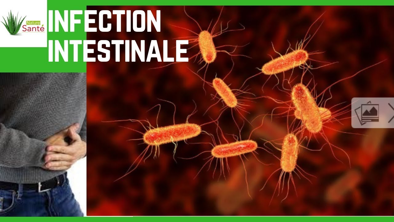 Comment Lutter Contre L'Infection Intestinale Avec 3 Remèdes D'Origine ...
