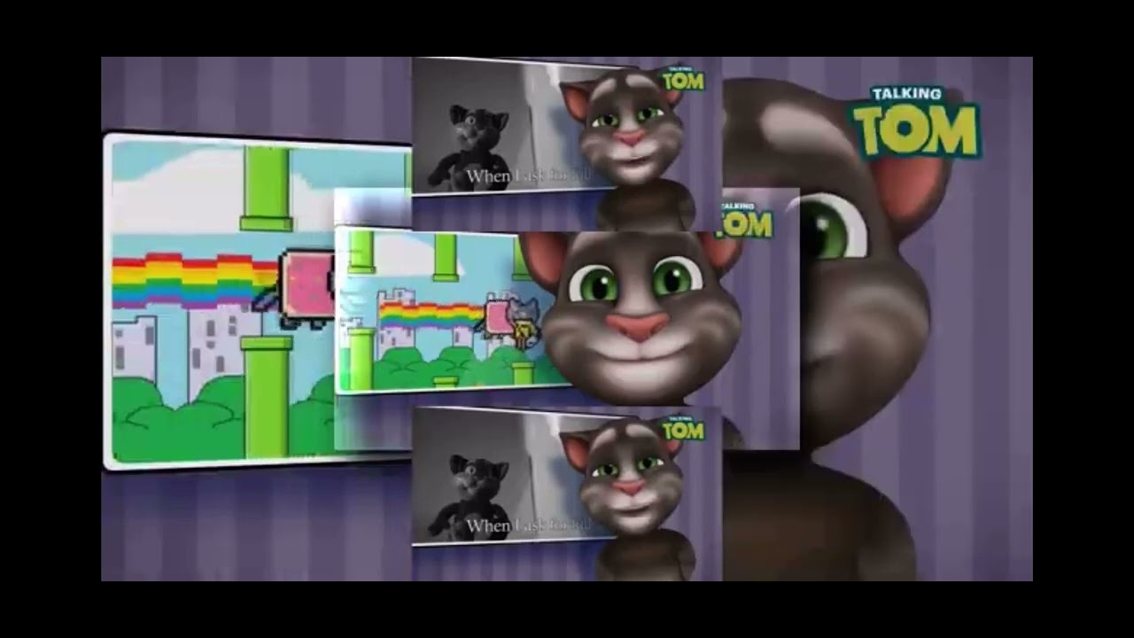 (REUPLOADED) taking Tom internet cat spoofs scan - YouTube