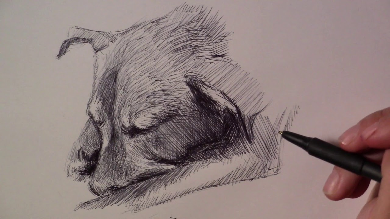 Drawing A Dog With Ball Point Pen! Mark Making Technique Crosshatching ...