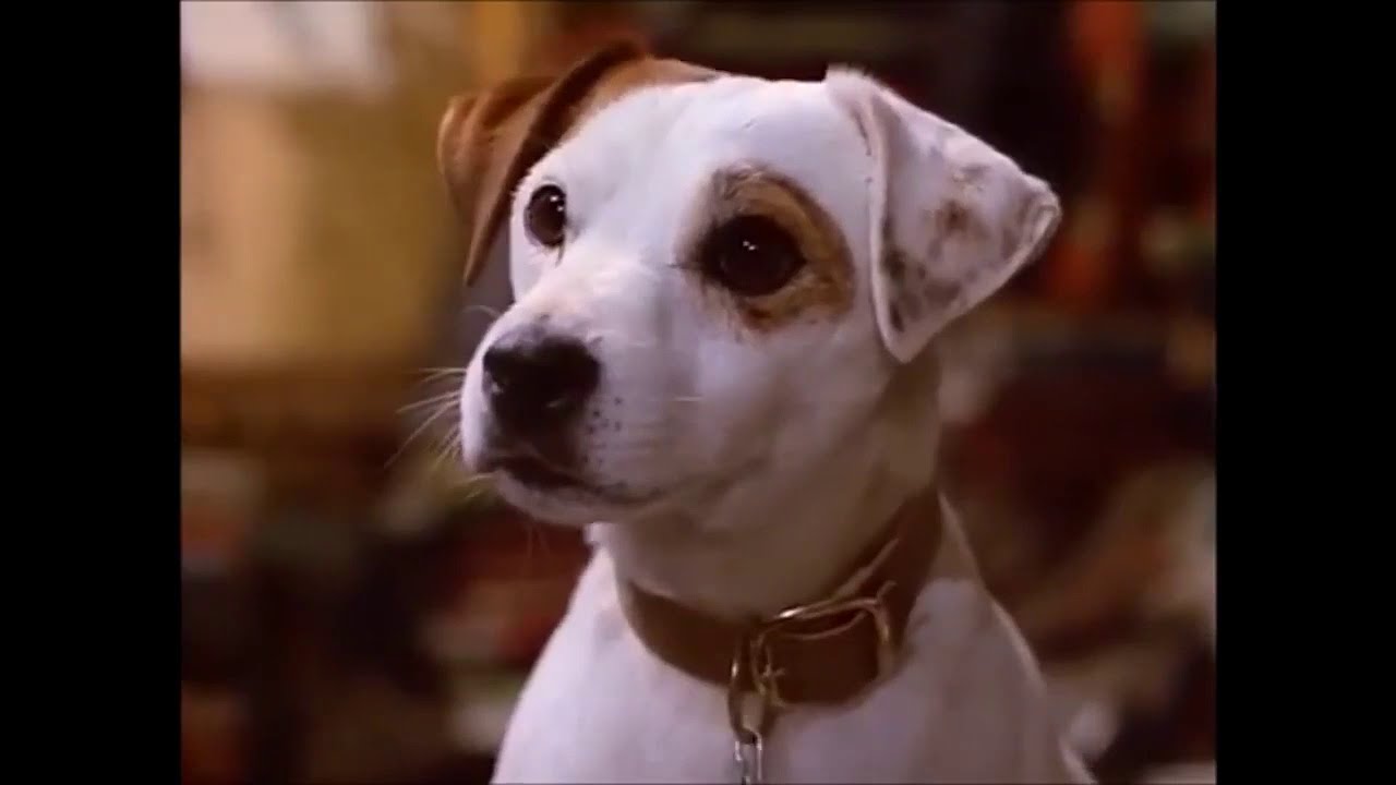Wishbone - Intro (Season 1) (Vocals) - YouTube