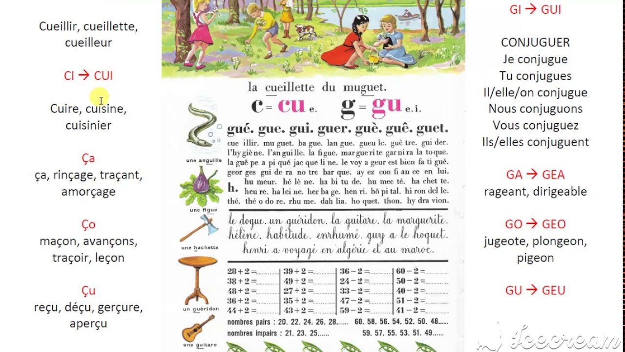 Leçon - Français : Les sons des lettres C et G - Partie 2 - YouTube